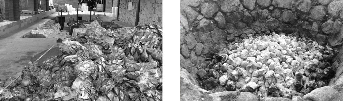 Bimspirits – Mezcal Process