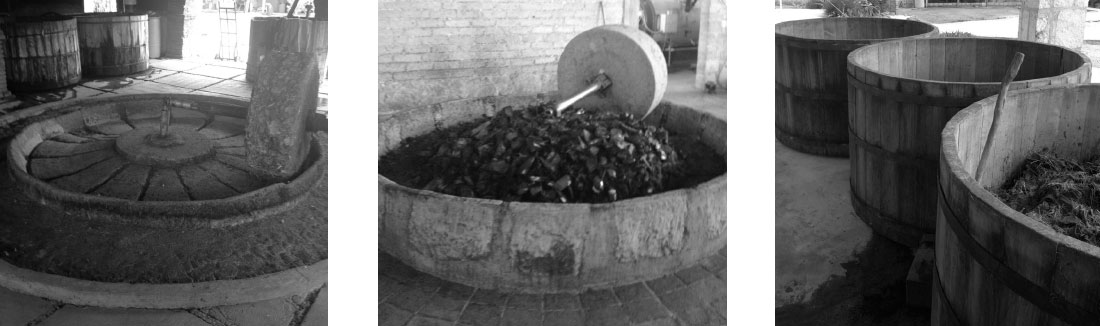 Bimspirits – Mezcal Process