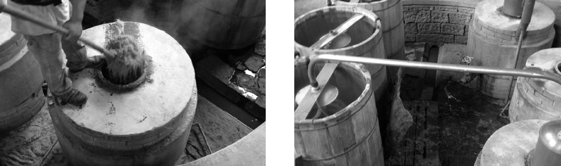Bimspirits – Mezcal Process